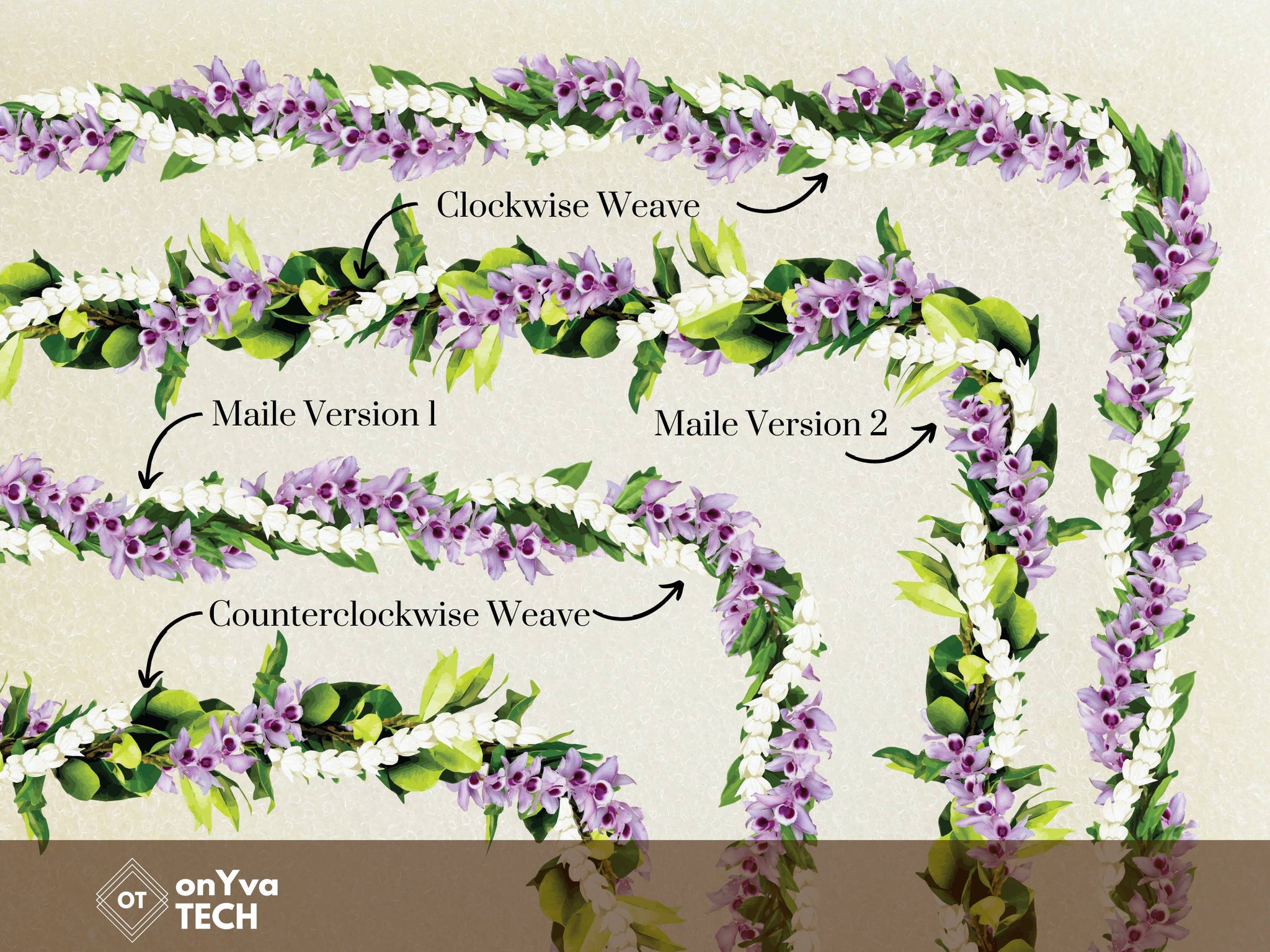 Maile Pikake Honohono 3 Strand Twist Open Lei | Hawaiian Frame PNG Bun ...